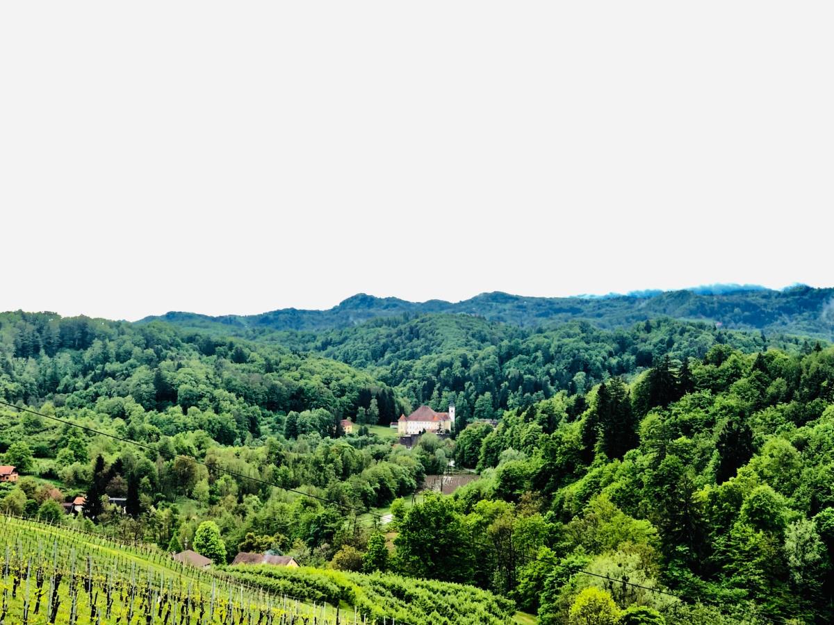 Grad v Svečini - kungota.si