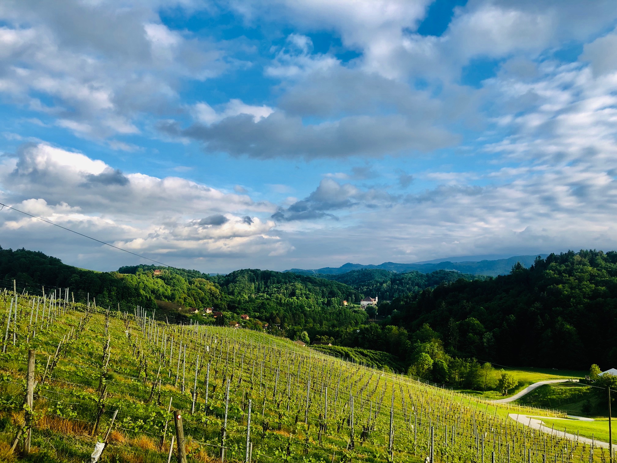 Grad v Svečini - kungota.si